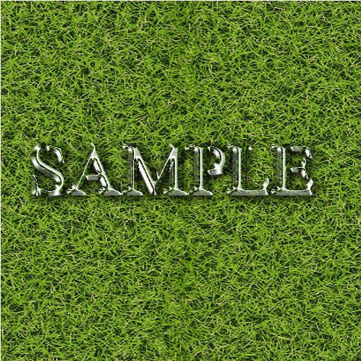 Second Life Marketplace - Zoy Texture [ Grass Texture 3 ] - Seamless